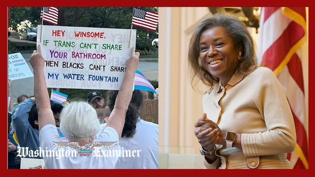 Yeas & Nays: Left Wing Culture war boosts Winsome Sears's governor bid